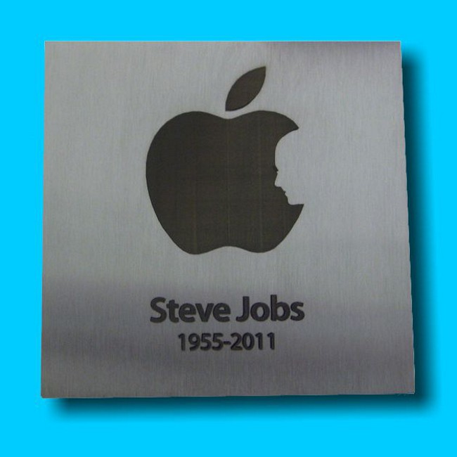 Laser marking stainless steel by annealing